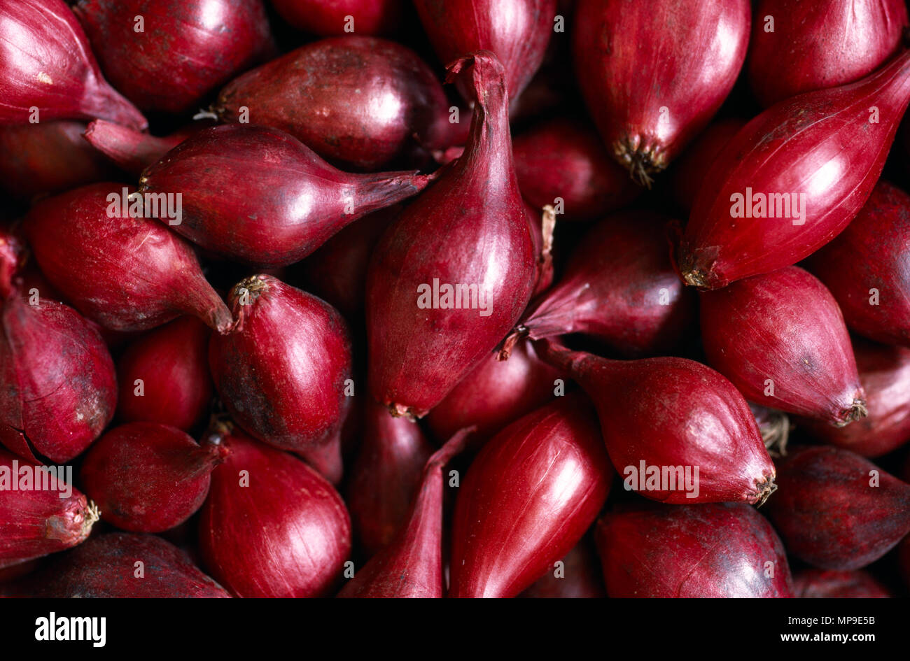 Red onion sets hi-res stock photography and images - Alamy