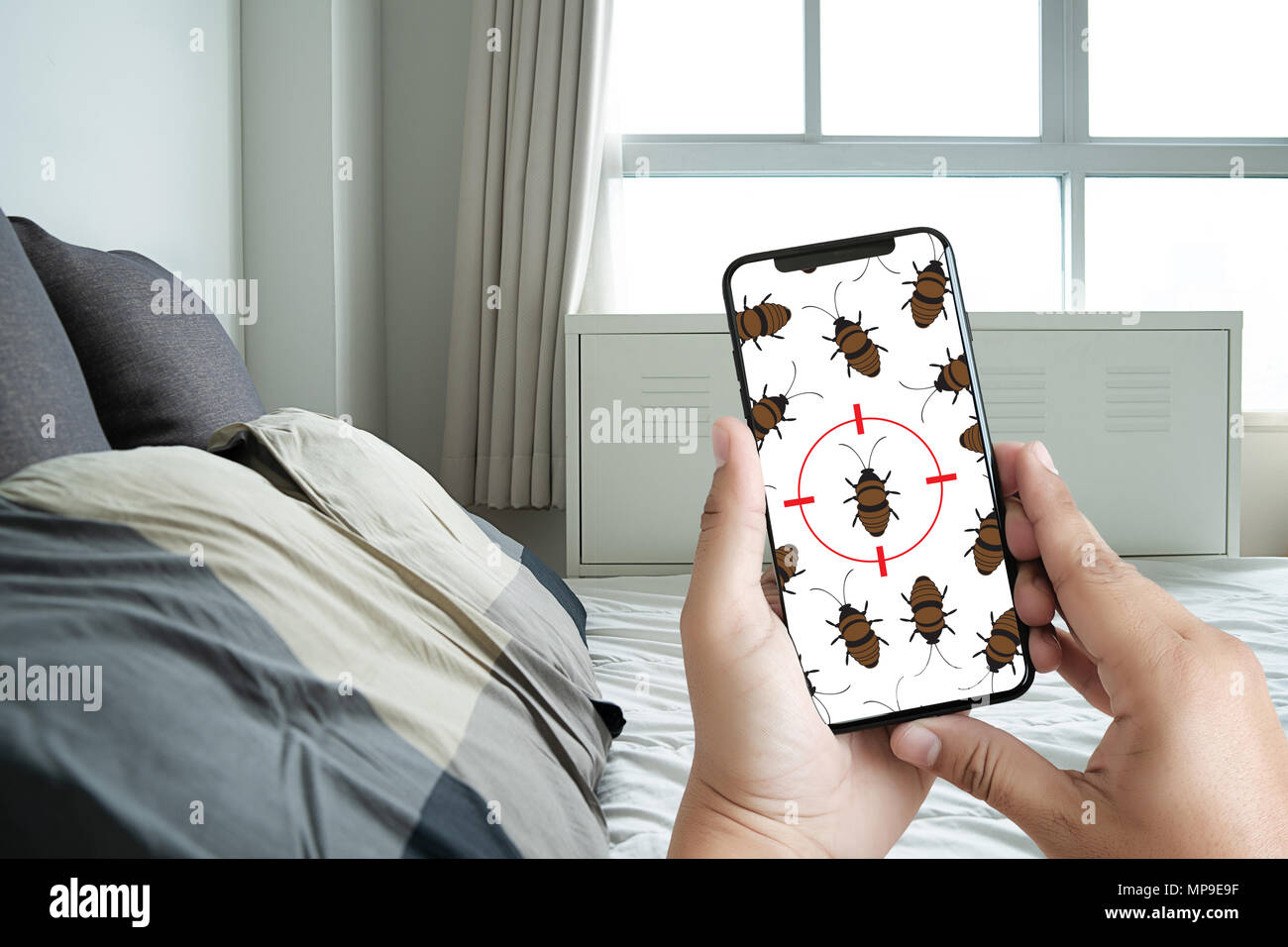 Women are checking for unusual things and detecting bed bugs in the ...