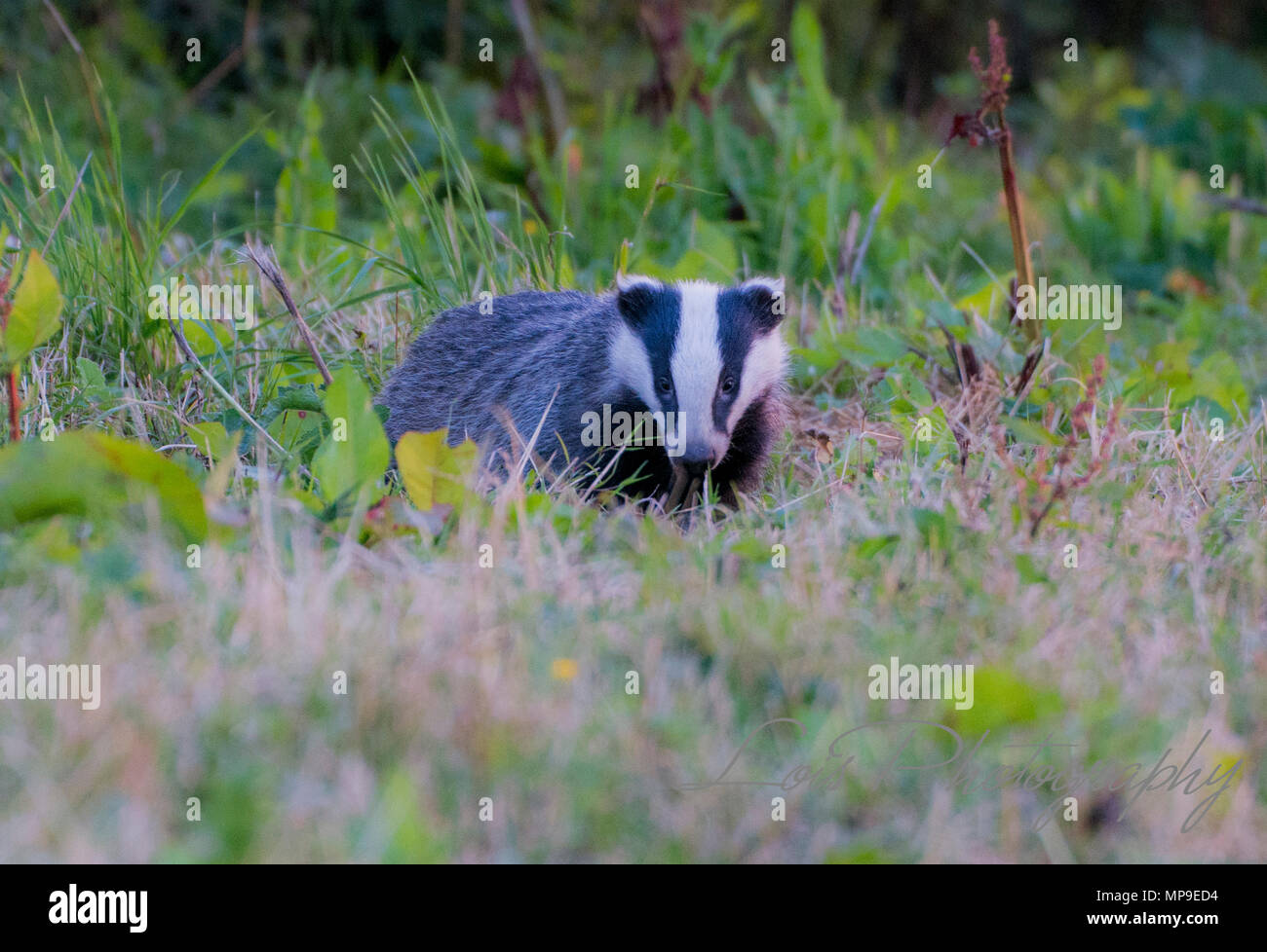 Jenna Chamberlain Stock Photos & Images from Alamy
