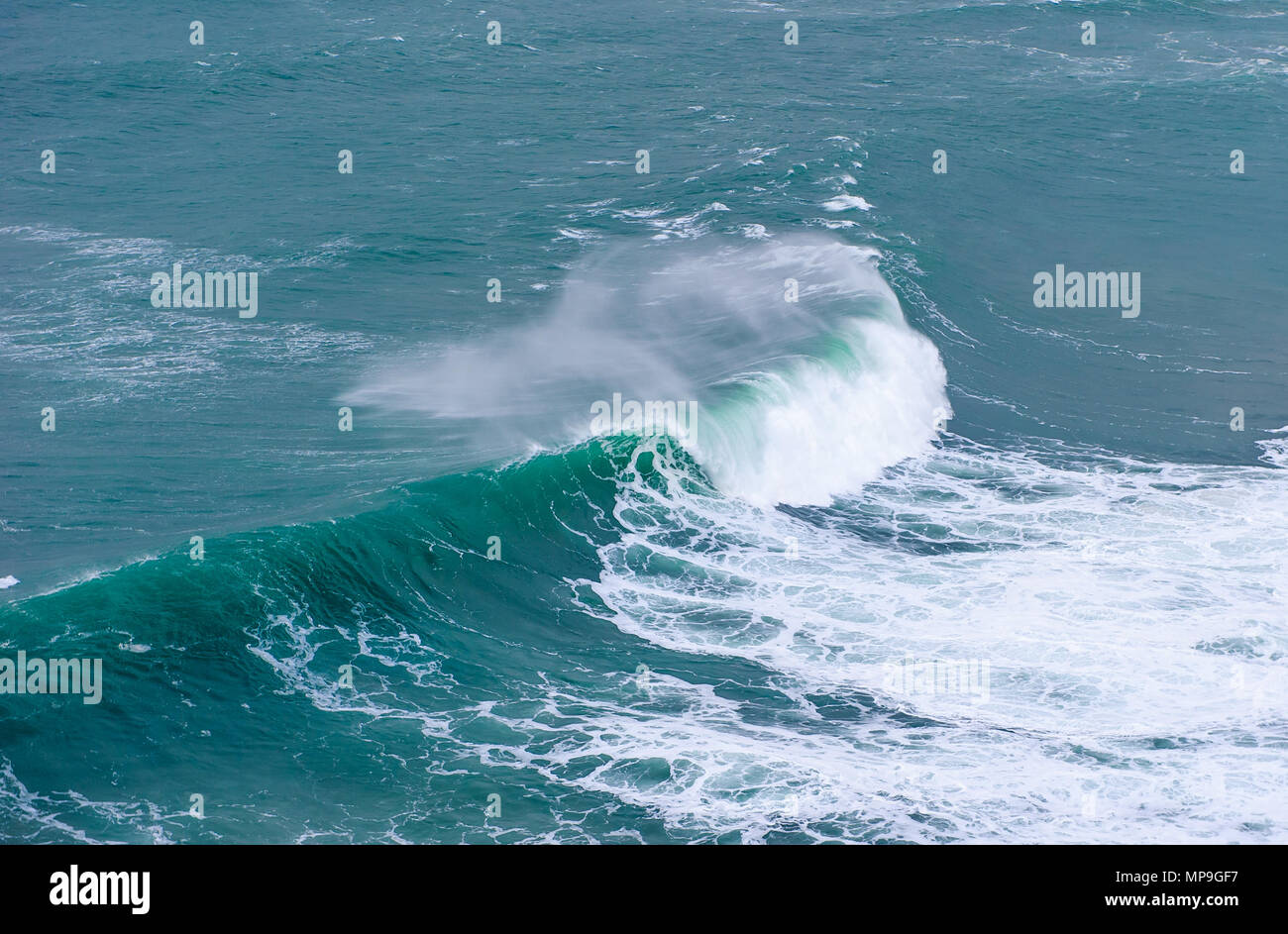 Huge ocean wave breaking in Nazare, Portugal Stock Photo - Alamy