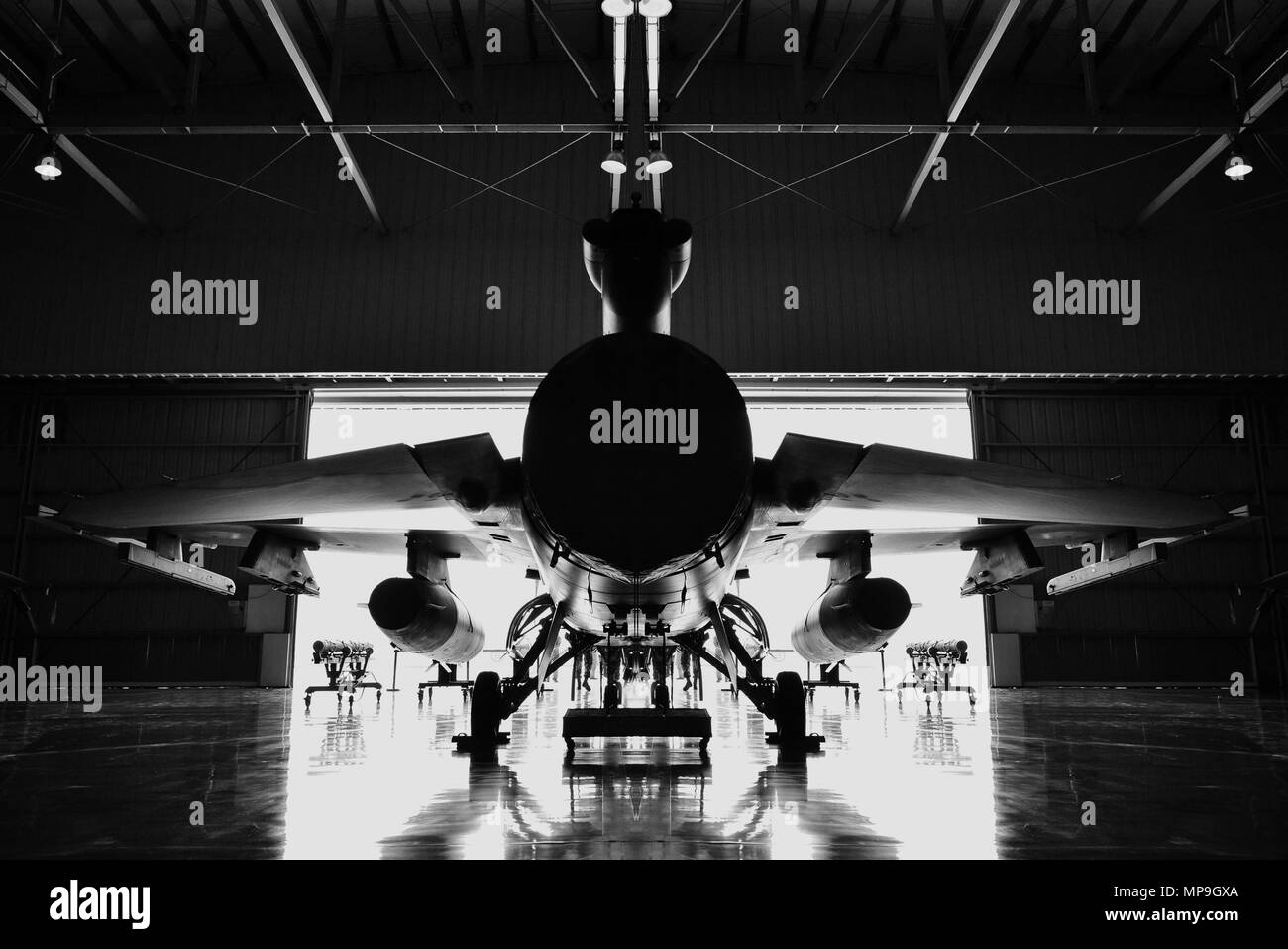 Red falcon Black and White Stock Photos & Images - Alamy