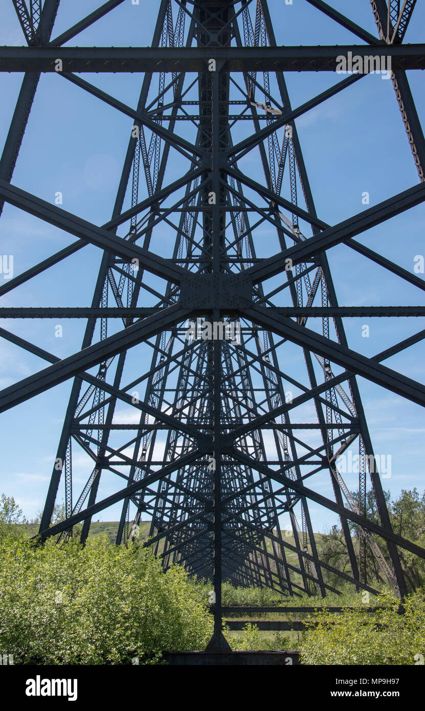 The Lethbridge Viaduct, commonly known as the High Level Bridge, was ...
