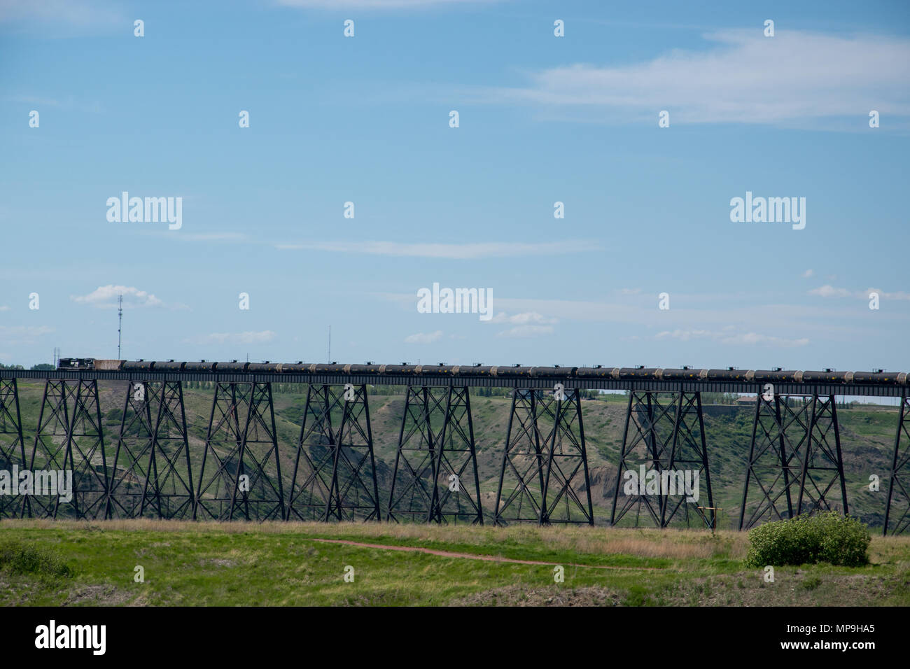The Lethbridge Viaduct, commonly known as the High Level Bridge, was ...