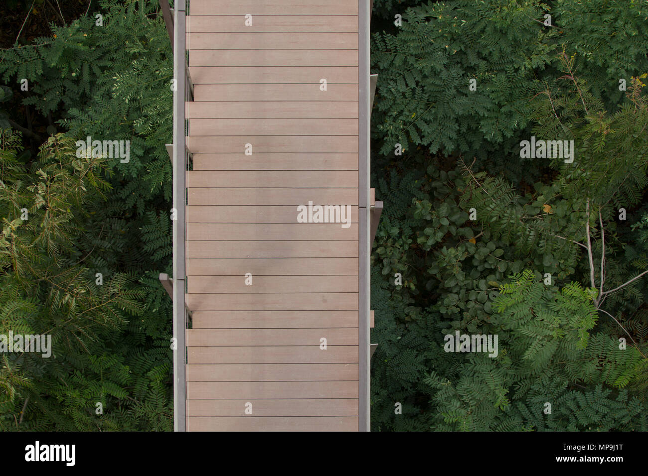 Wooden bridge over view top of tree Stock Photo - Alamy
