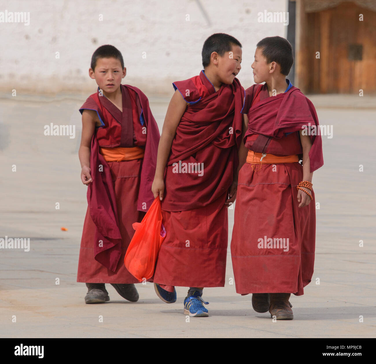 Young Tibetan Gelukpa monks, Labrang Monastery, Xiahe, Gansu, China ...