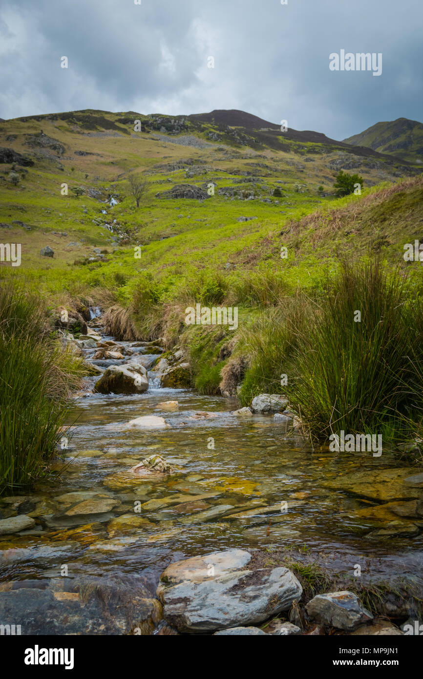 A clearwater stream flowing down a lush hillside in The Lake District ...