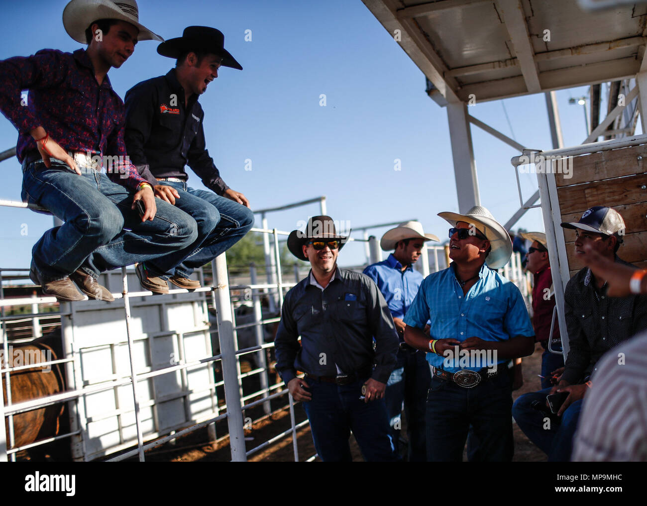Rodeo Expogan. Behind the scene of the sport of Vaqueros, horse riders ...