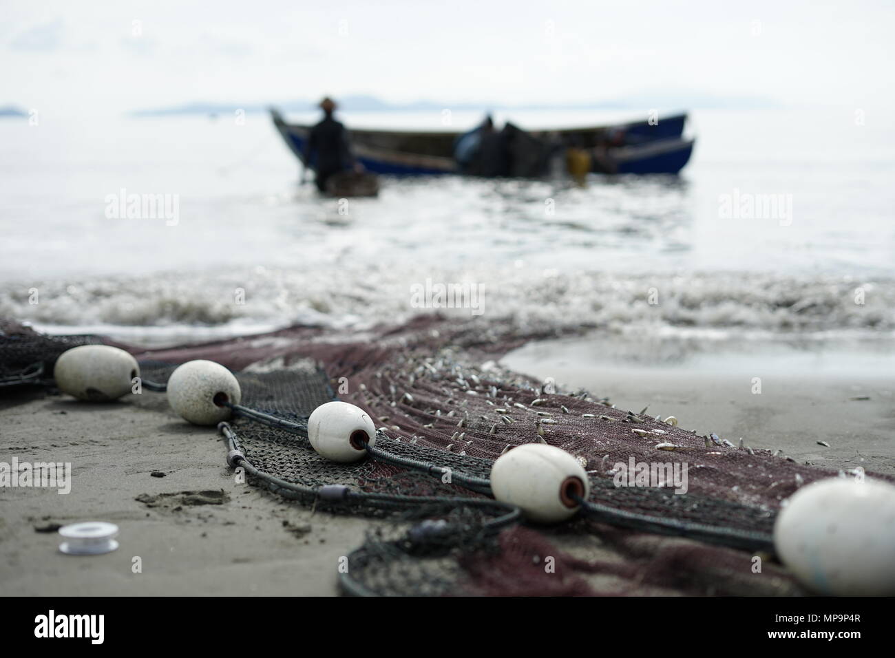 Fish on Fisherman Fishing Net Stock Photo - Alamy