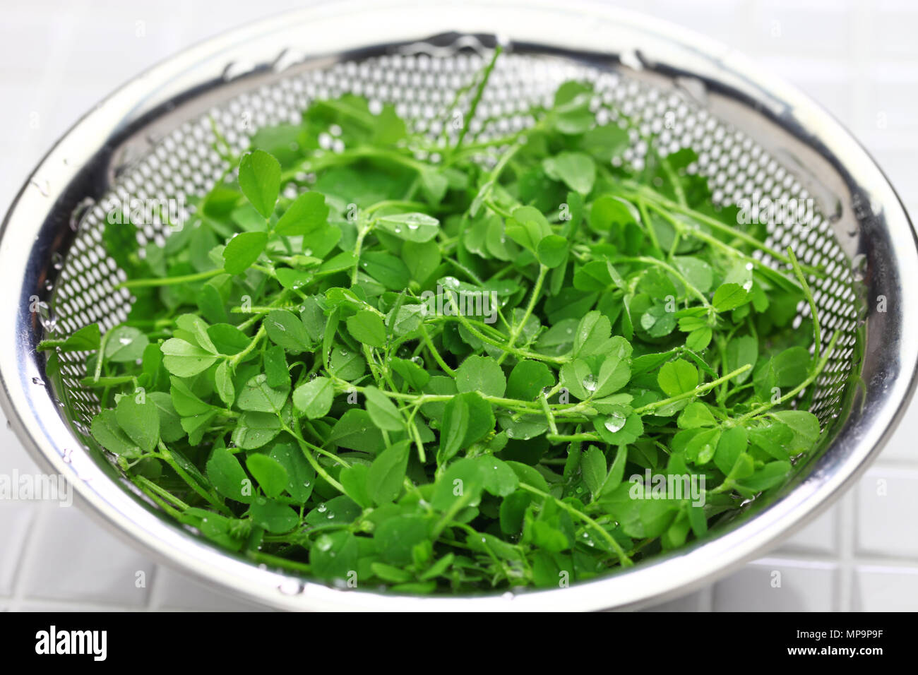 toothed bur clover Stock Photo - Alamy