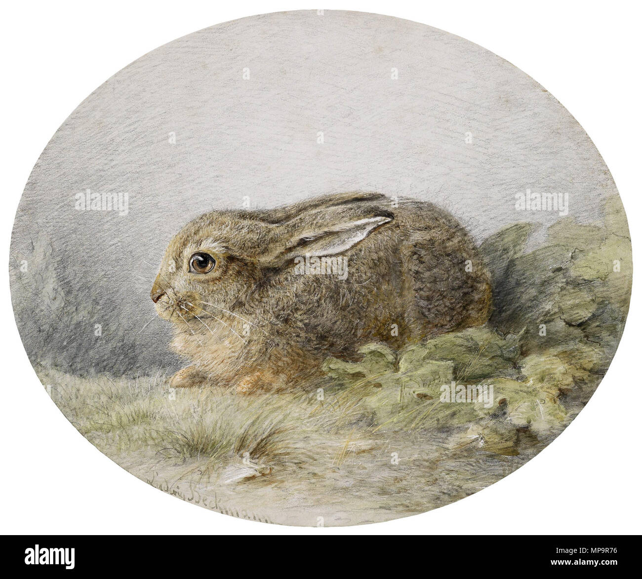 . Feldhase, signiert Ludwig Beckmann, Aquarell auf Papier, 24 x 29 cm ...