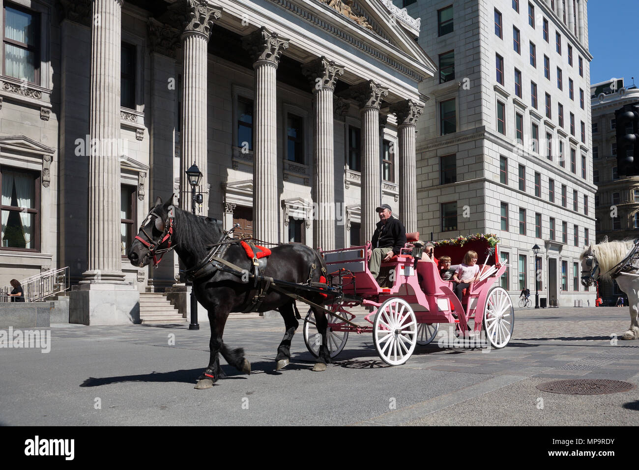 Montreal,Canada,21 May,2018.Horse-drawn carriage on St-Jacques street ...