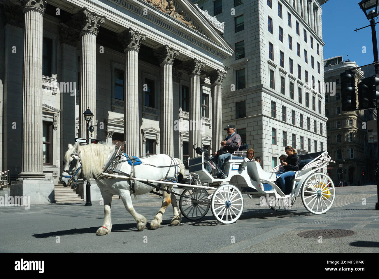 Montreal,Canada,21 May,2018.Horse-drawn carriage on St-Jacques street ...