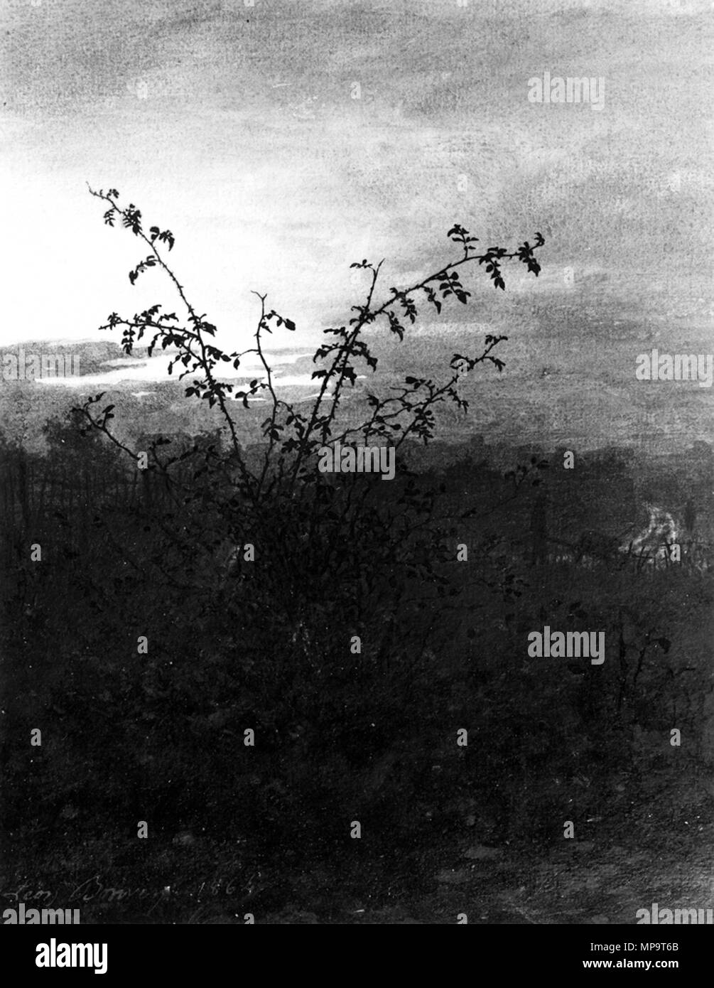 Watercolor landscape contrast Black and White Stock Photos & Images - Alamy