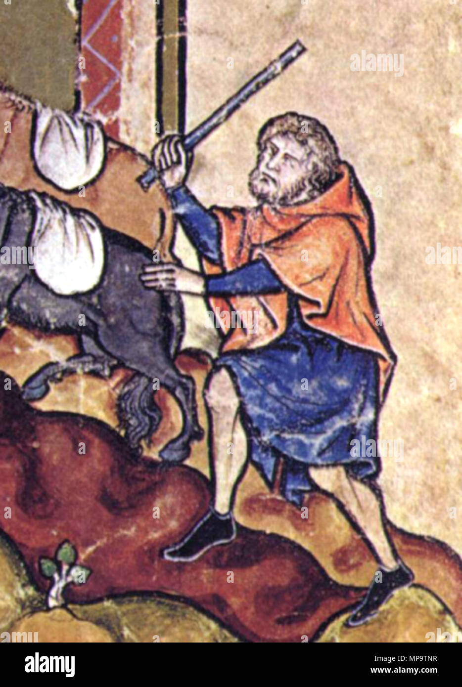 Hooded cape hi-res stock photography and images - Alamy