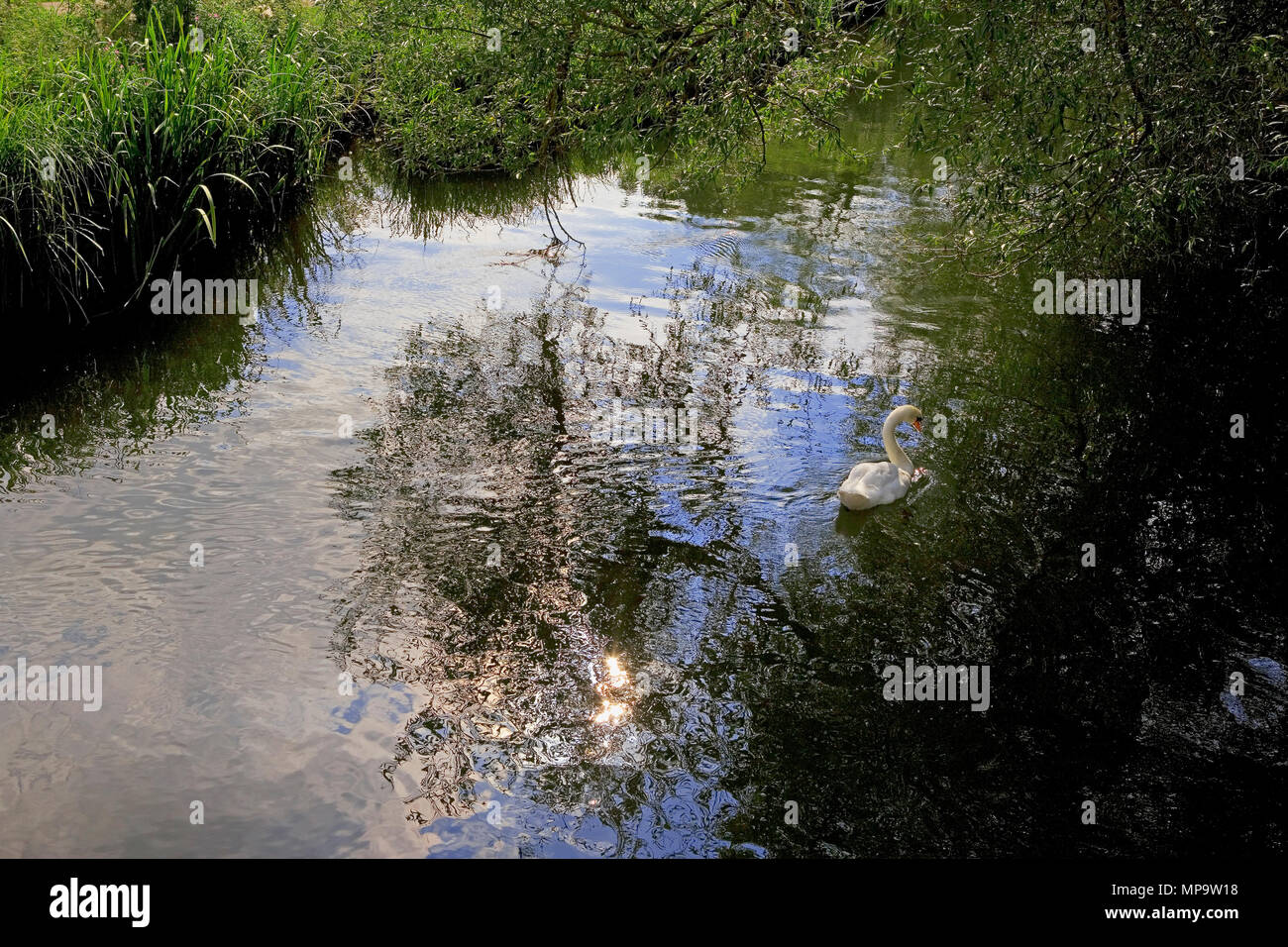 Chalk rivers hi-res stock photography and images - Alamy