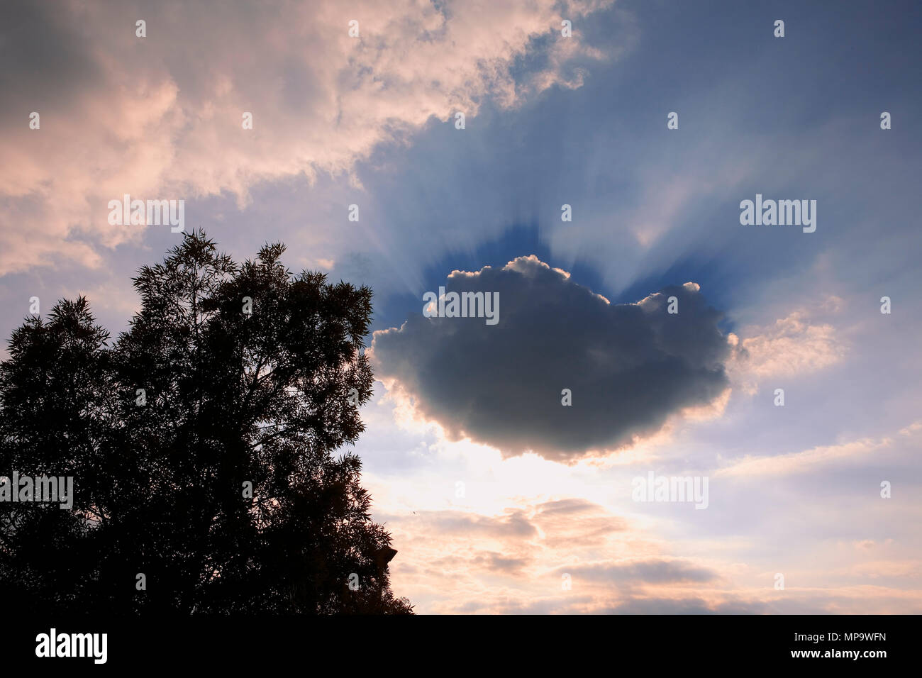 Strange lighting phenomenon from the sun behind cloud, Salisbury ...