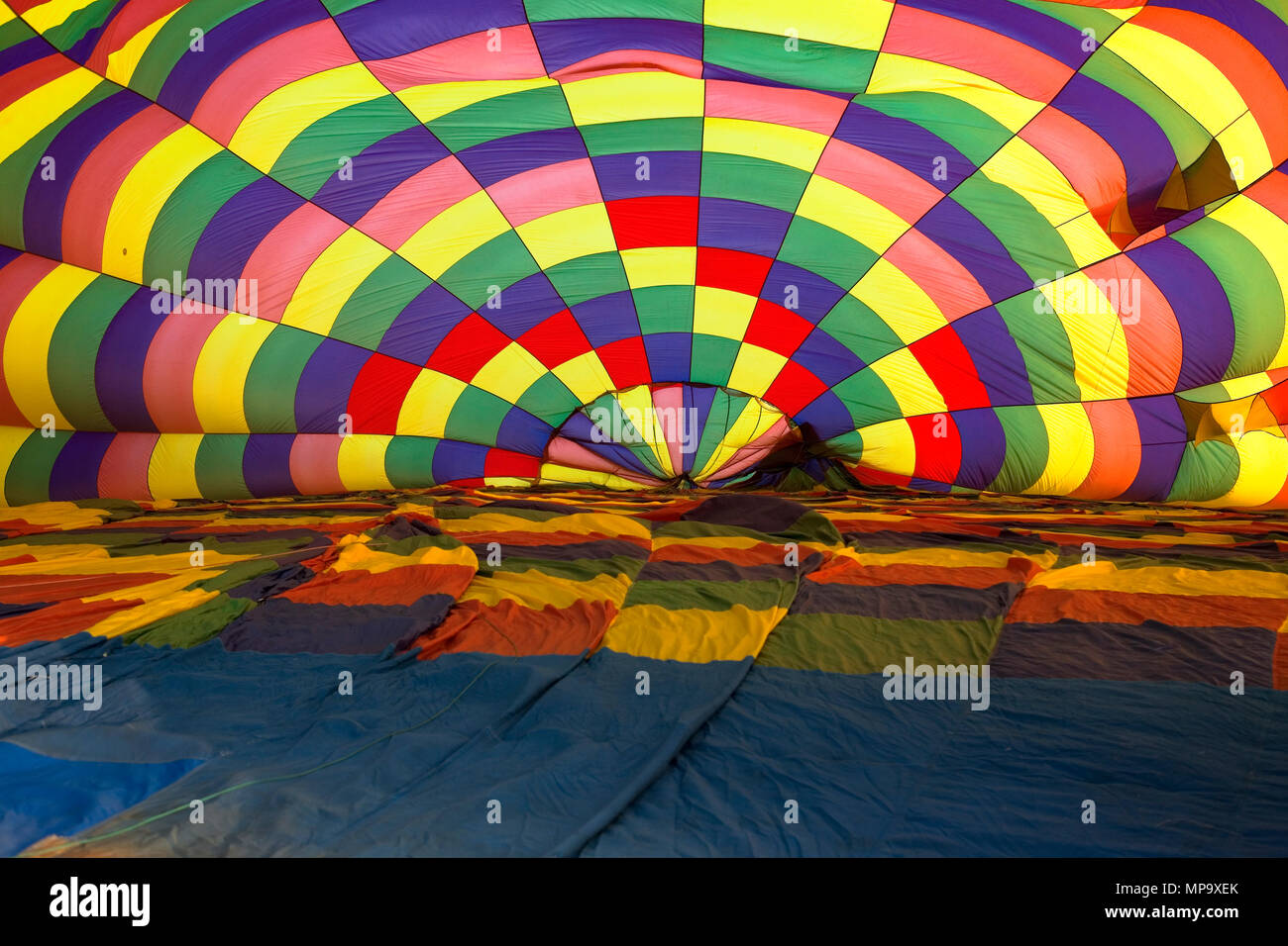 Aerosaurus hot air balloons hi-res stock photography and images - Alamy