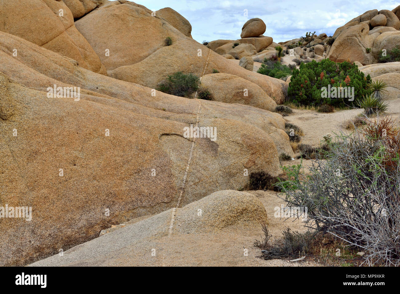Monzogranite hi-res stock photography and images - Alamy