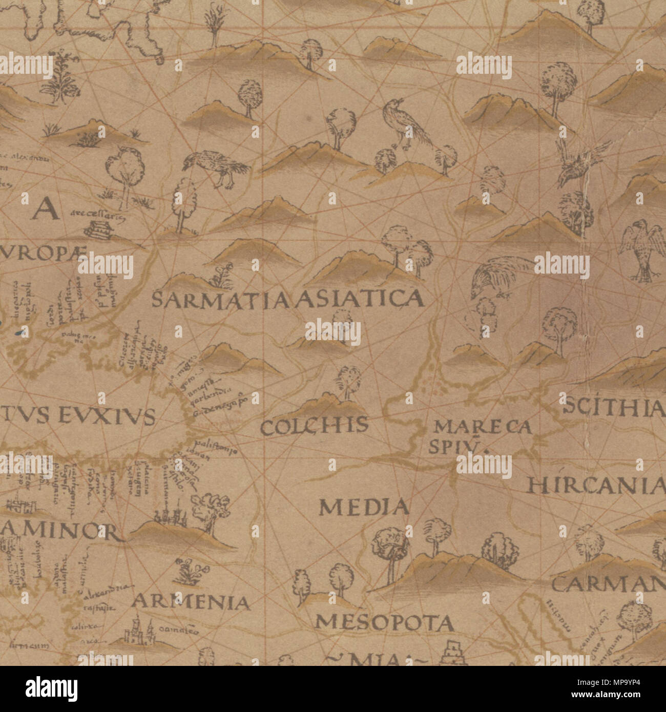 Contiene todo lo que del mundo hi-res stock photography and images - Alamy