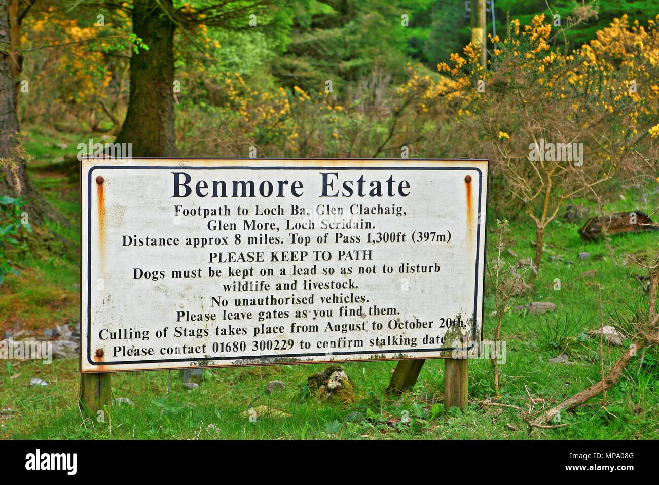Path through Benmore Estate to Loch Ba on the Isle of Mull Stock Photo ...