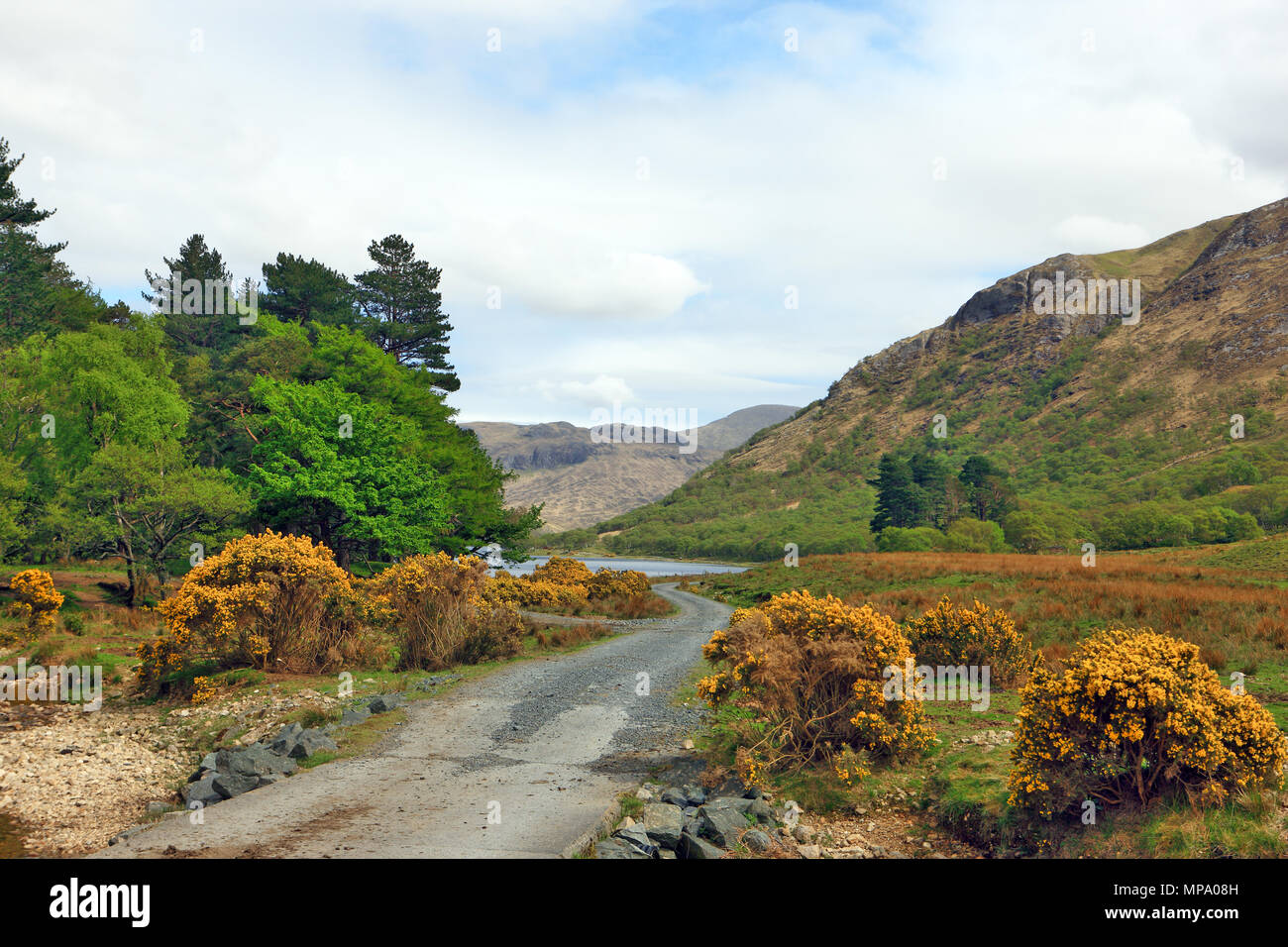 Path through Benmore Estates to Loch Ba on the Isle of Mull Stock Photo ...