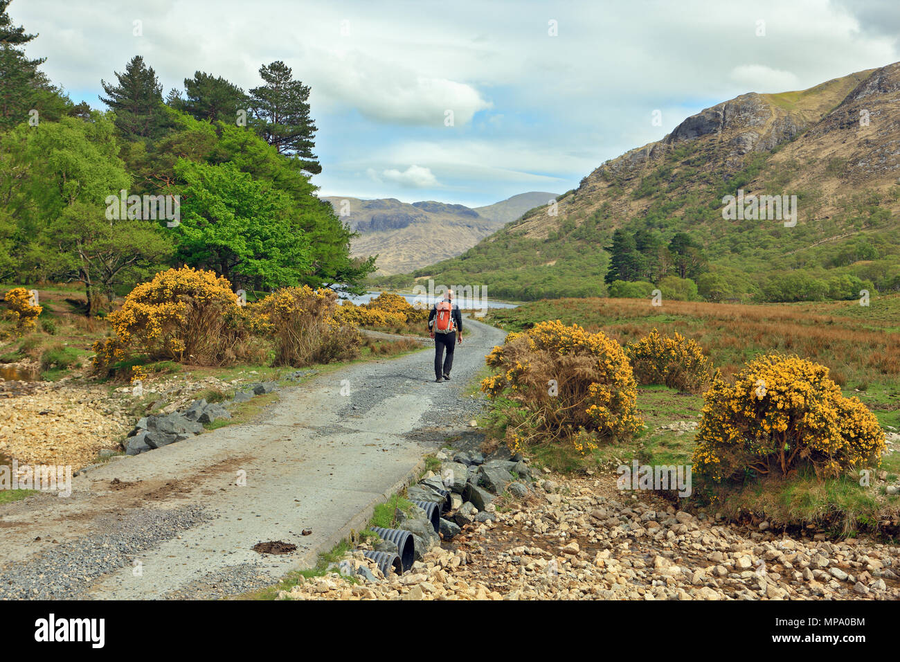 Path through Benmore Estates to Loch Ba on the Isle of Mull Stock Photo ...