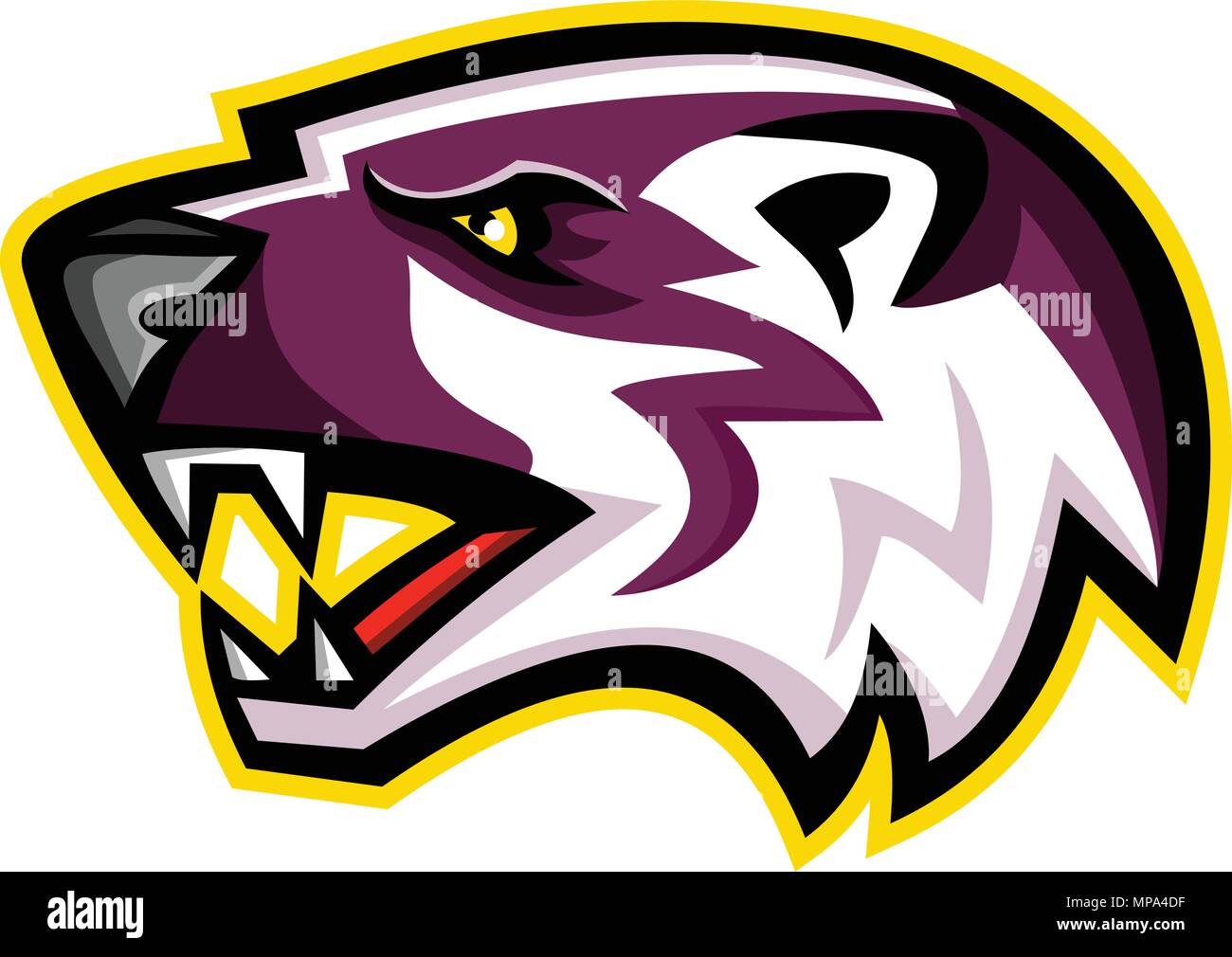 Mascot icon illustration of head of an angry American badger, a North ...