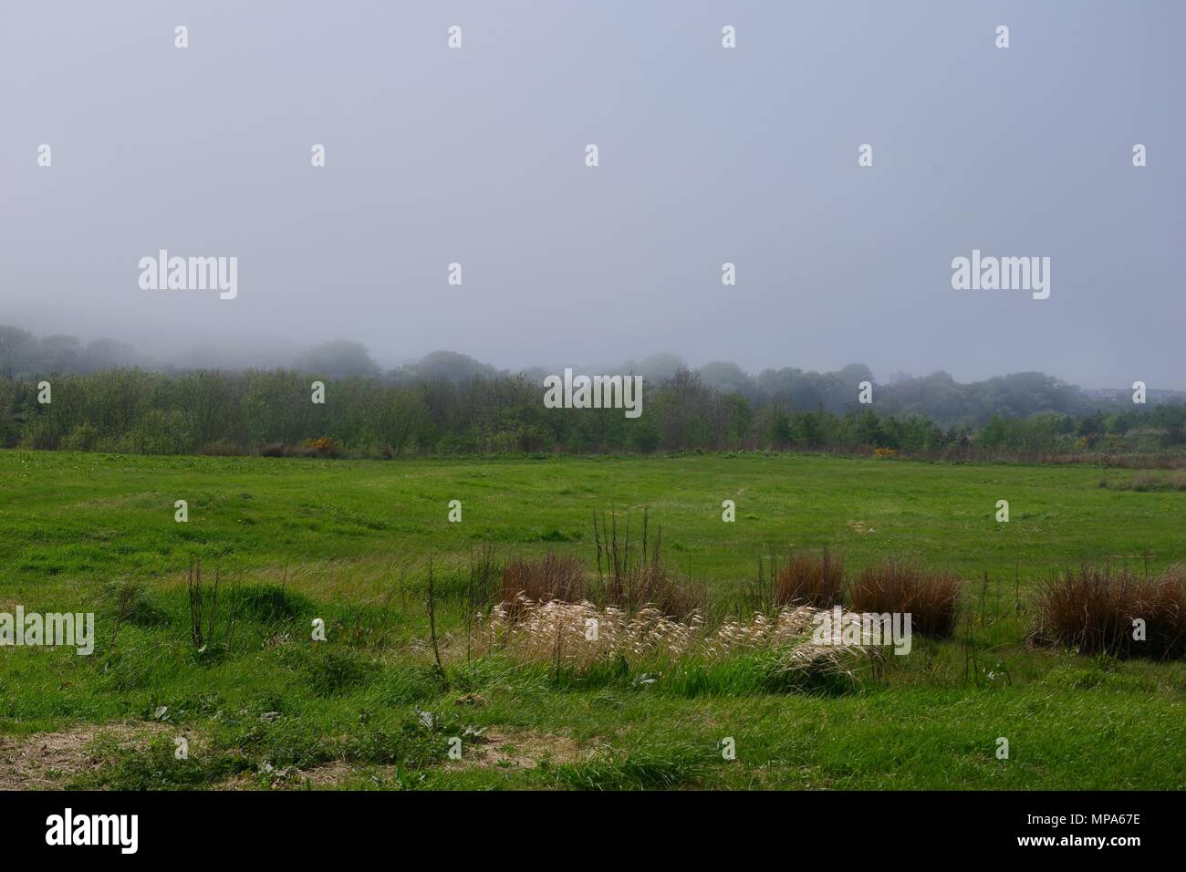 St fitticks community park hi-res stock photography and images - Alamy