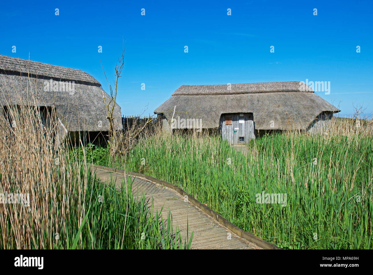 Cley Marshes, an RSPB nature reserve, ,Norfolk, England UK Stock Photo ...