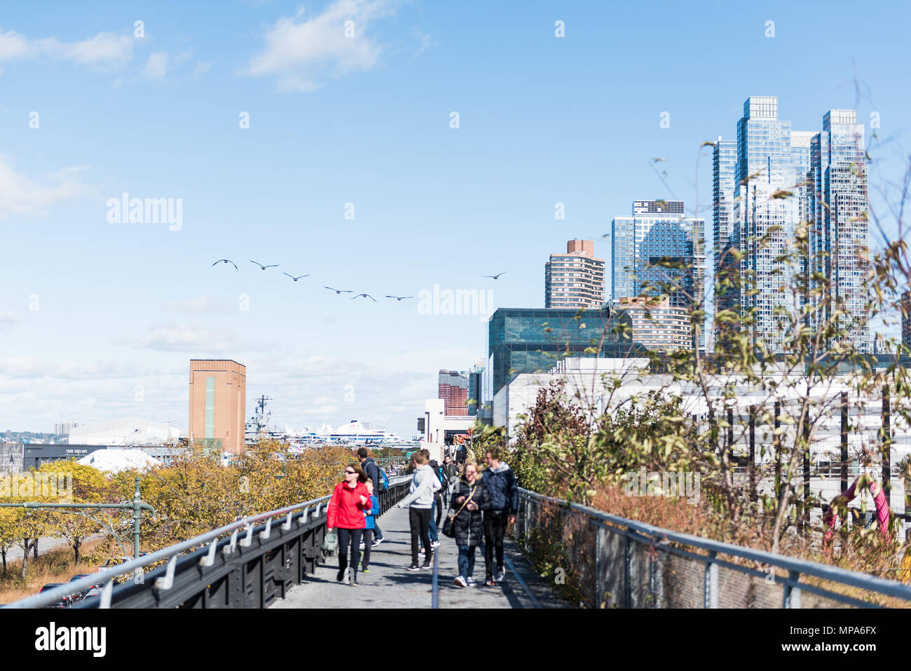 The high line park and trees hi-res stock photography and images - Alamy