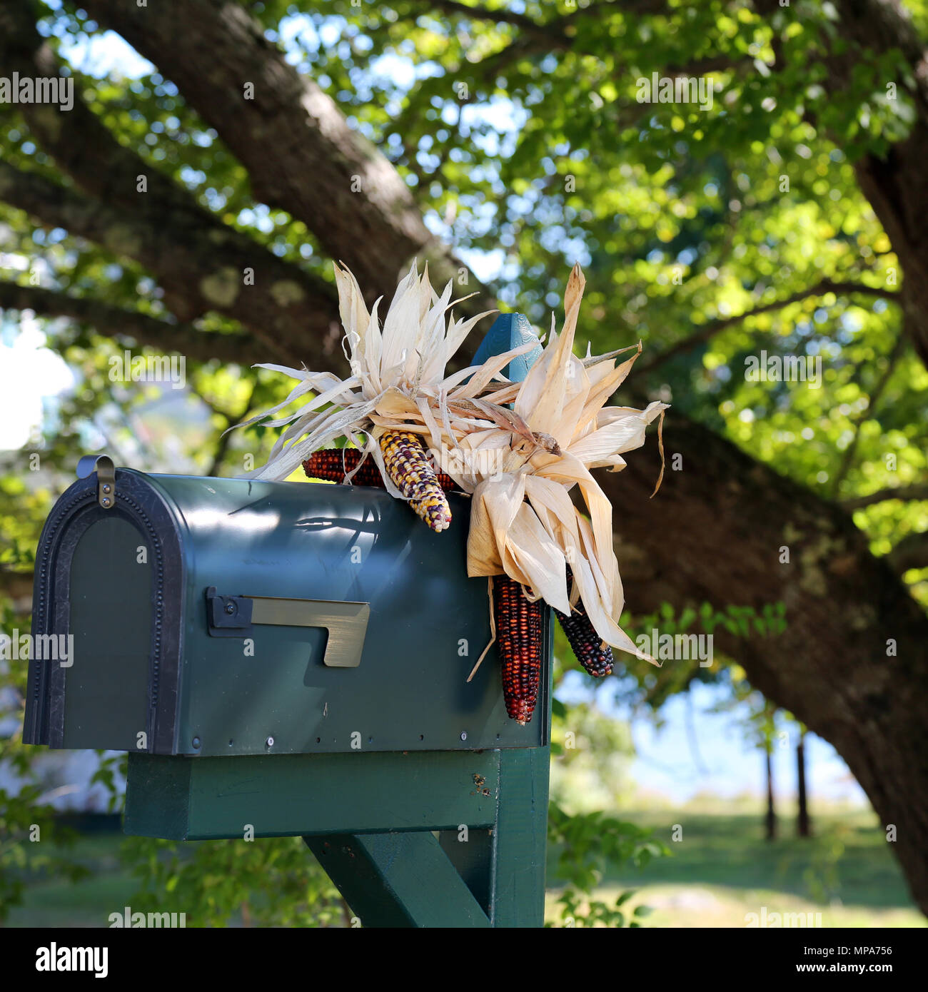 Box mailbox box tree hi-res stock photography and images - Alamy