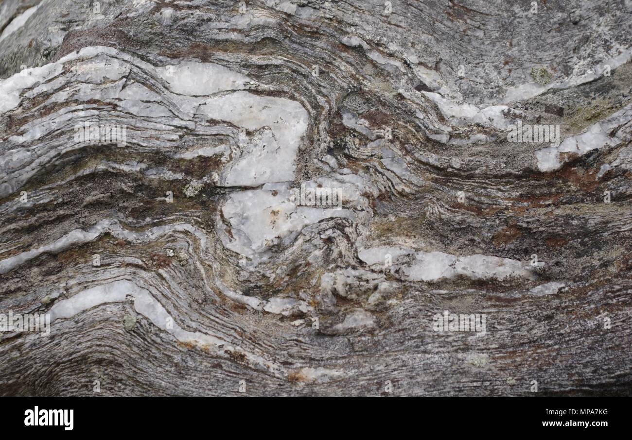 Migmatite Metamorphic Rock. Natural Background. Cove Bay, Aberdeen ...