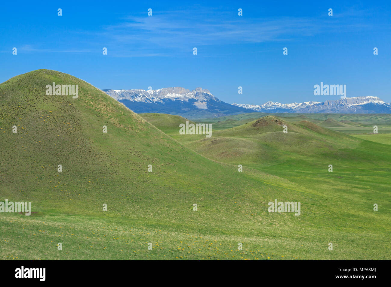 Mt d2819 hi-res stock photography and images - Alamy