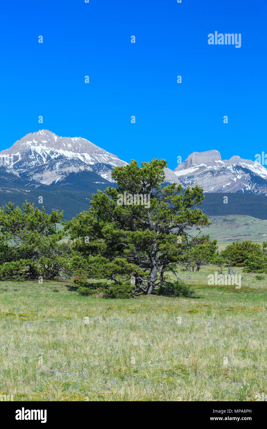 Choteau montana hi-res stock photography and images - Alamy
