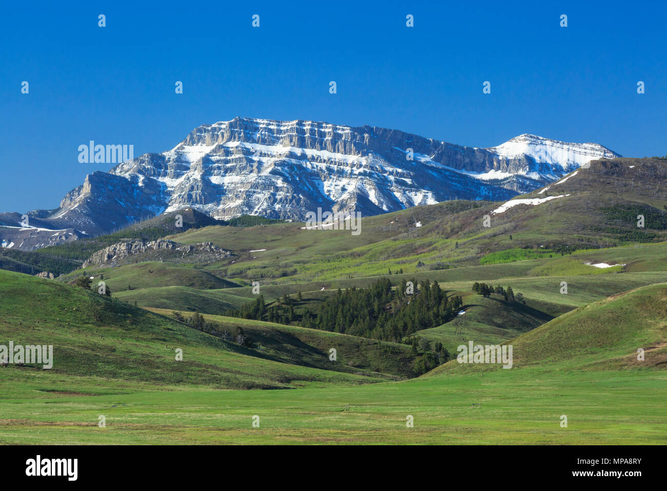 steamboat mountain along the rocky mountain front near augusta, montana ...