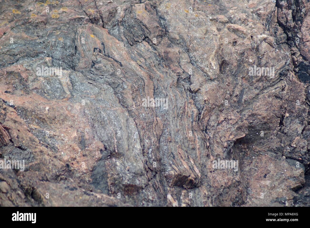 Migmatite texture hi-res stock photography and images - Alamy