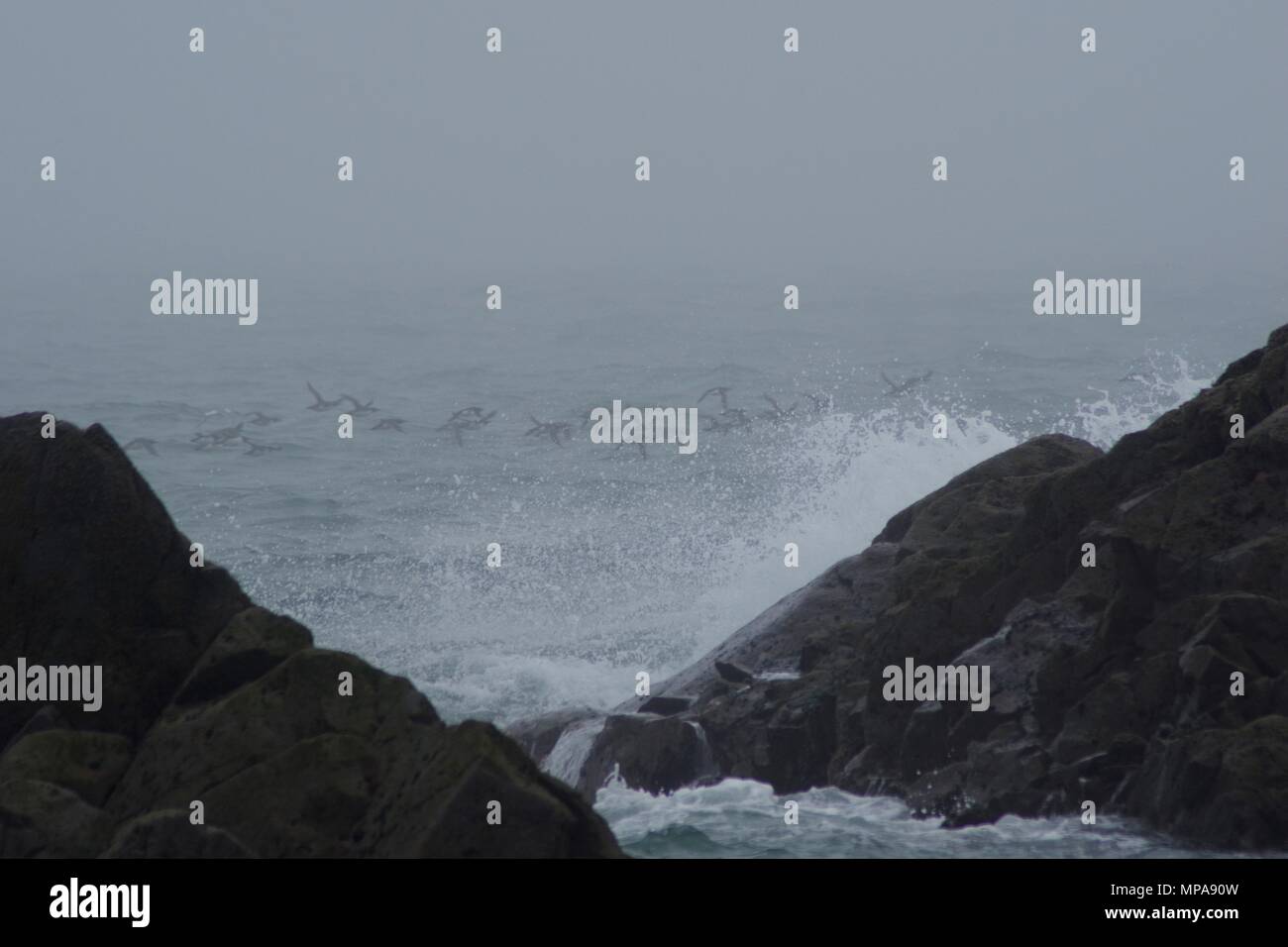 Eerie North Sea at the Base of Rugged Cliffs under a Thick Sea Fog ...