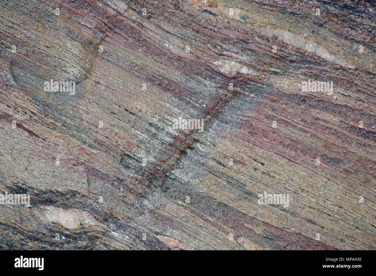 Migmatite texture hi-res stock photography and images - Alamy