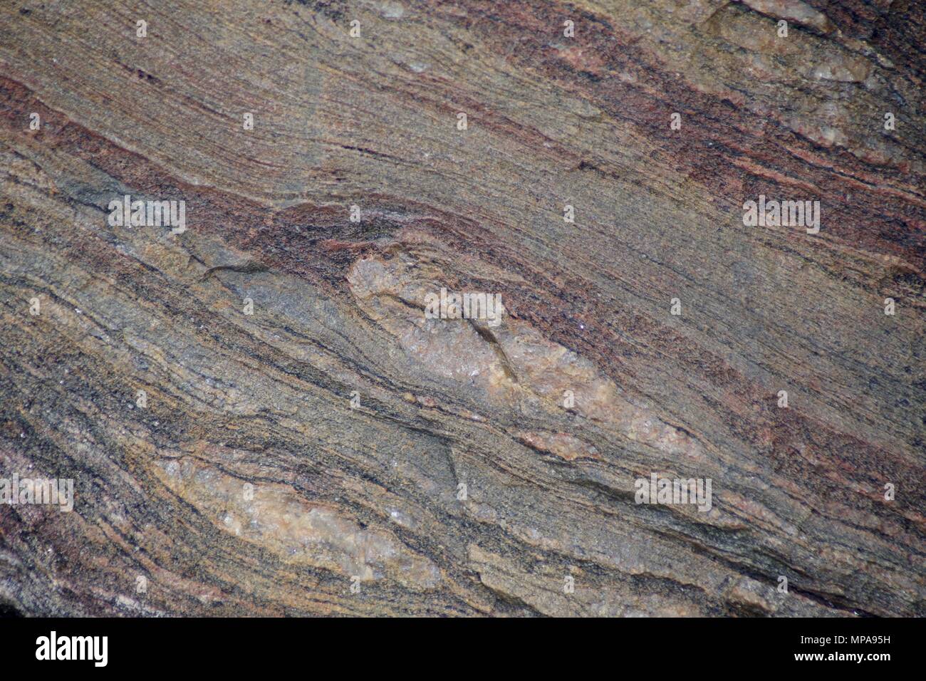 Migmatite Metamorphic Rock. Natural Background. Cove Bay, Aberdeen ...