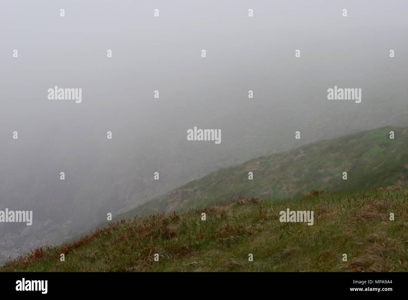 Rugged Grassy Coastal Cliff Under Thick Sea Fog Haar. Cove Bay ...