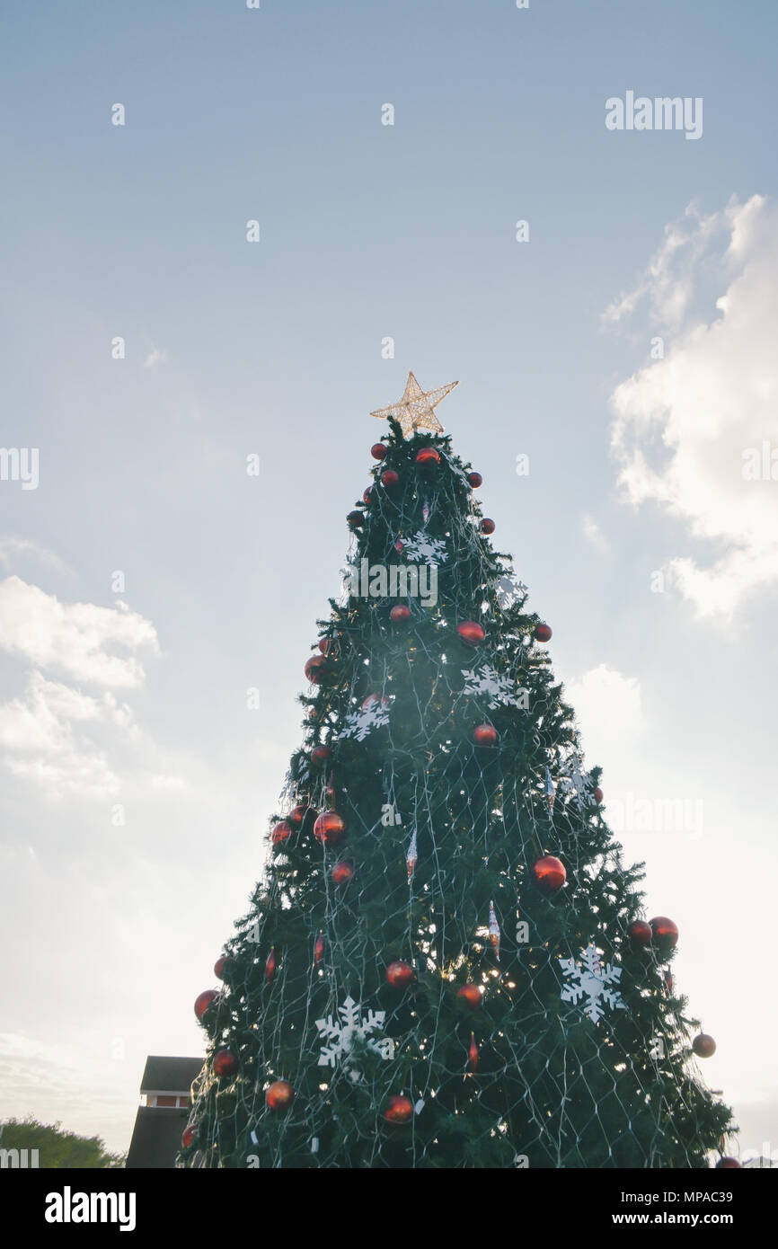 Christmas Tree in Christmas day event Stock Photo - Alamy