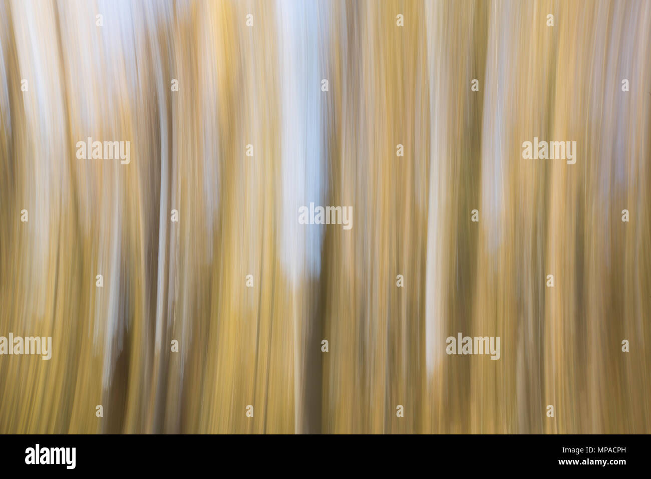 Blur overlay hi-res stock photography and images - Alamy