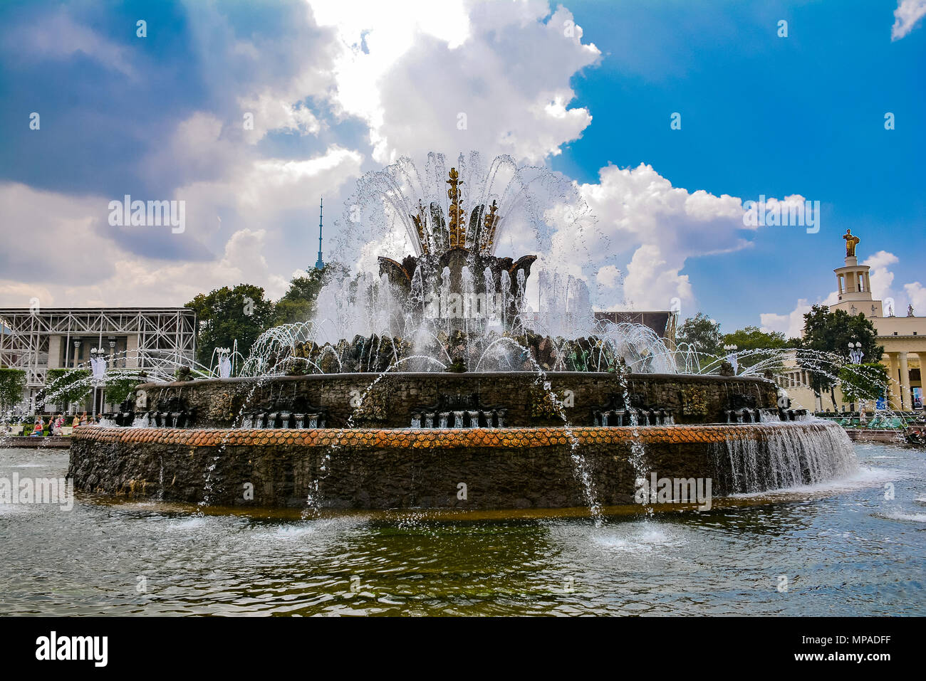 Russia national flower hi-res stock photography and images - Alamy