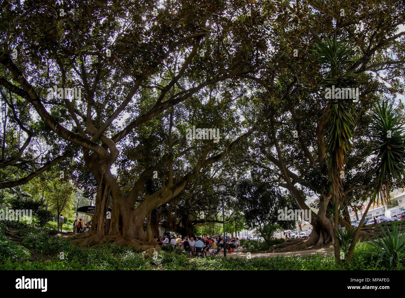 Lisbonne bairro alto hi-res stock photography and images - Alamy