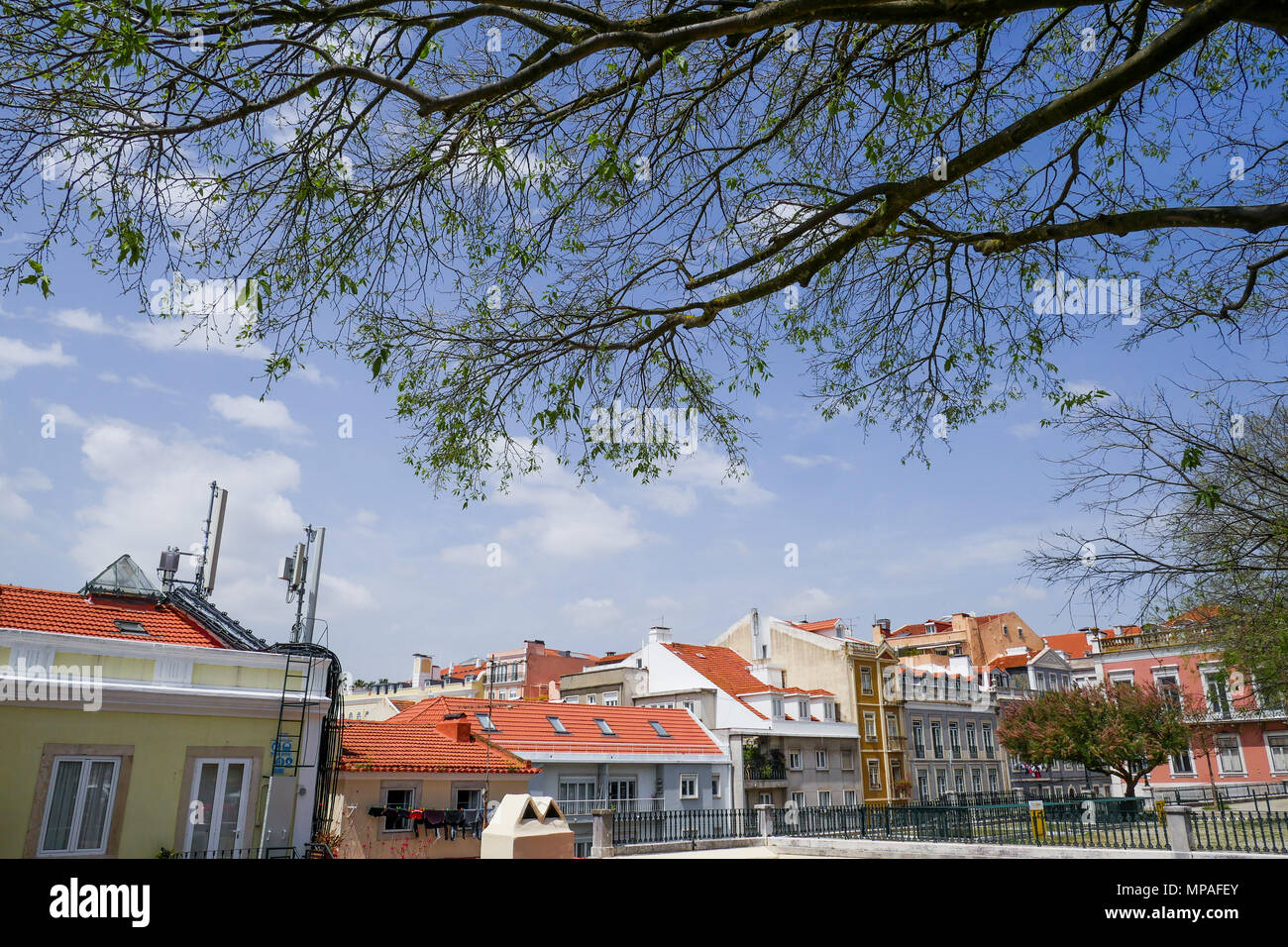 Principe Real square, Bairro Alto, Lisbon, Portugal Stock Photo - Alamy