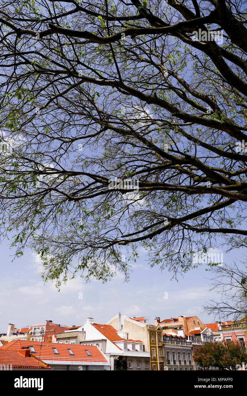 Lisbonne bairro alto hi-res stock photography and images - Alamy