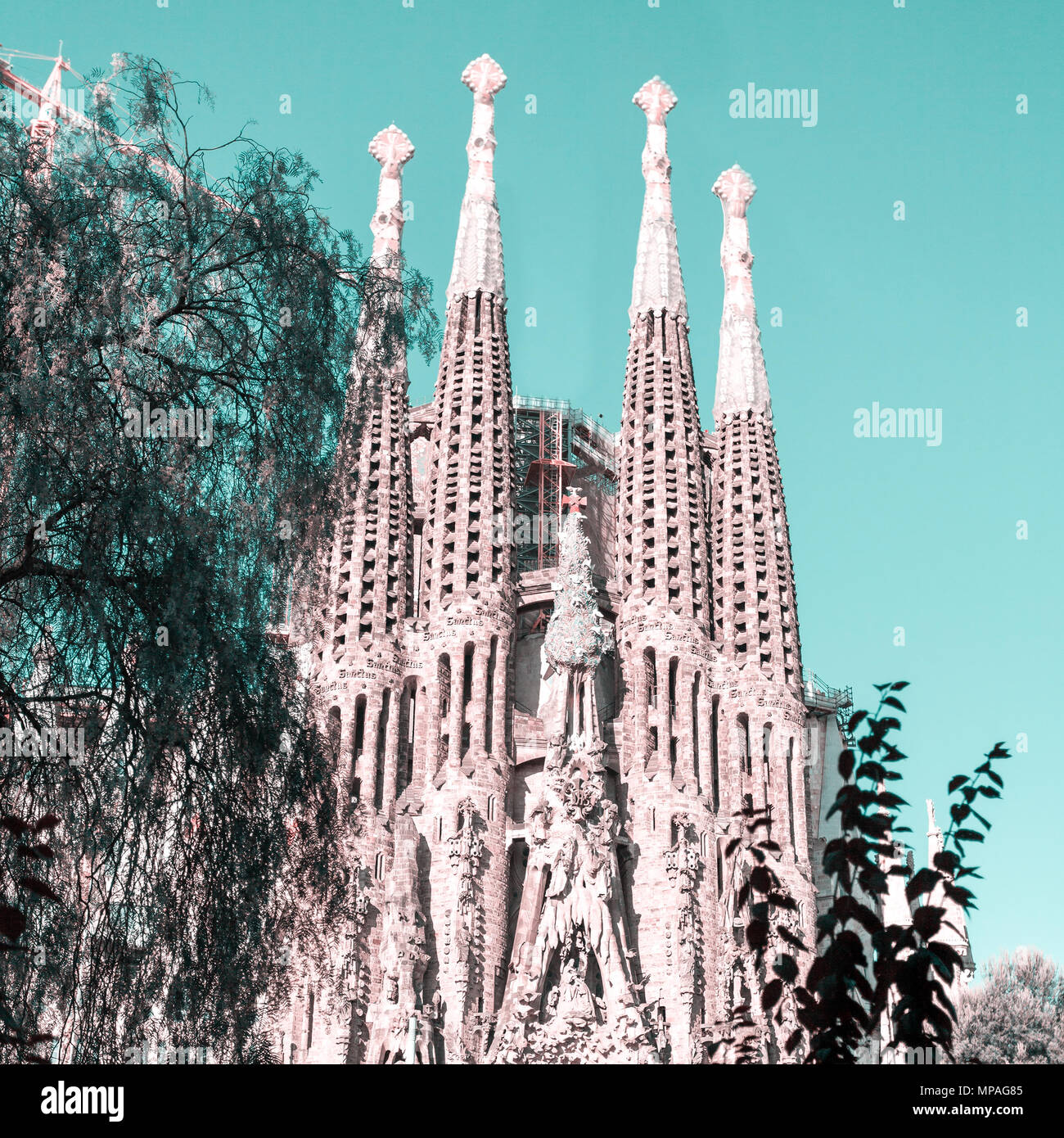 Expiatory Temple of the Holy Family, Sagrada Familia, Barcelona, Spain ...