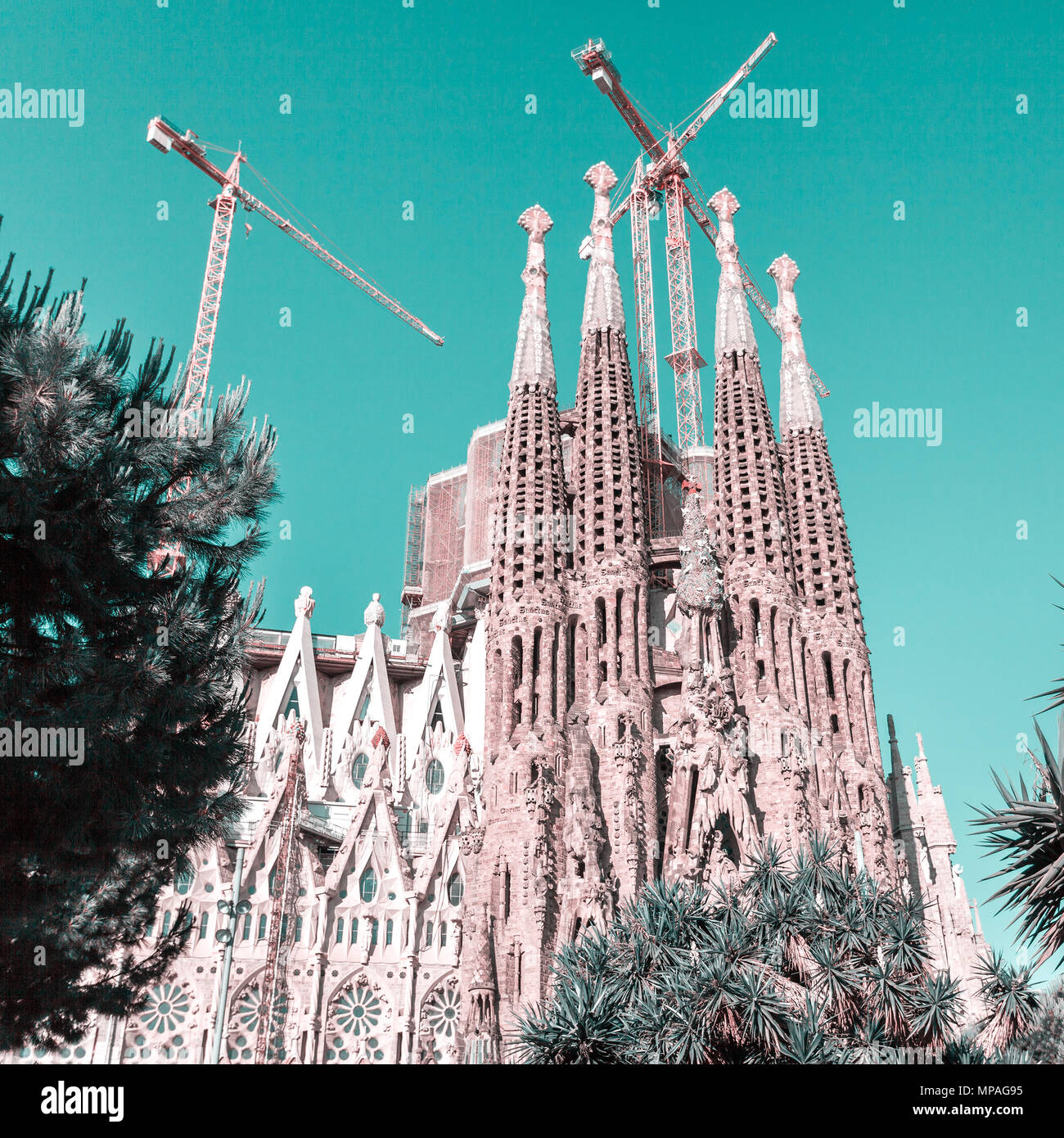Expiatory Temple of the Holy Family, Sagrada Familia, Barcelona, Spain ...