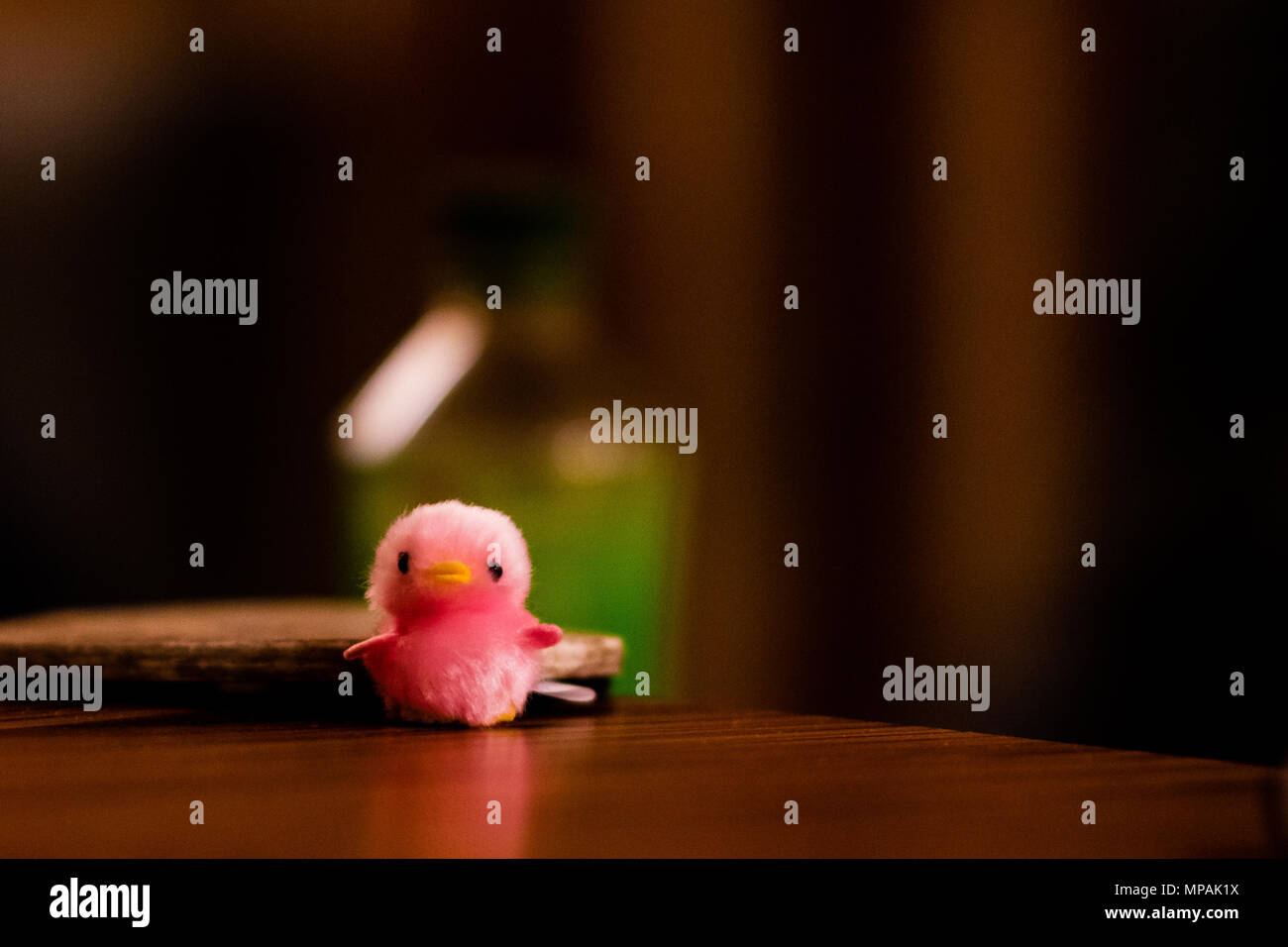 Pink chick hi-res stock photography and images - Alamy