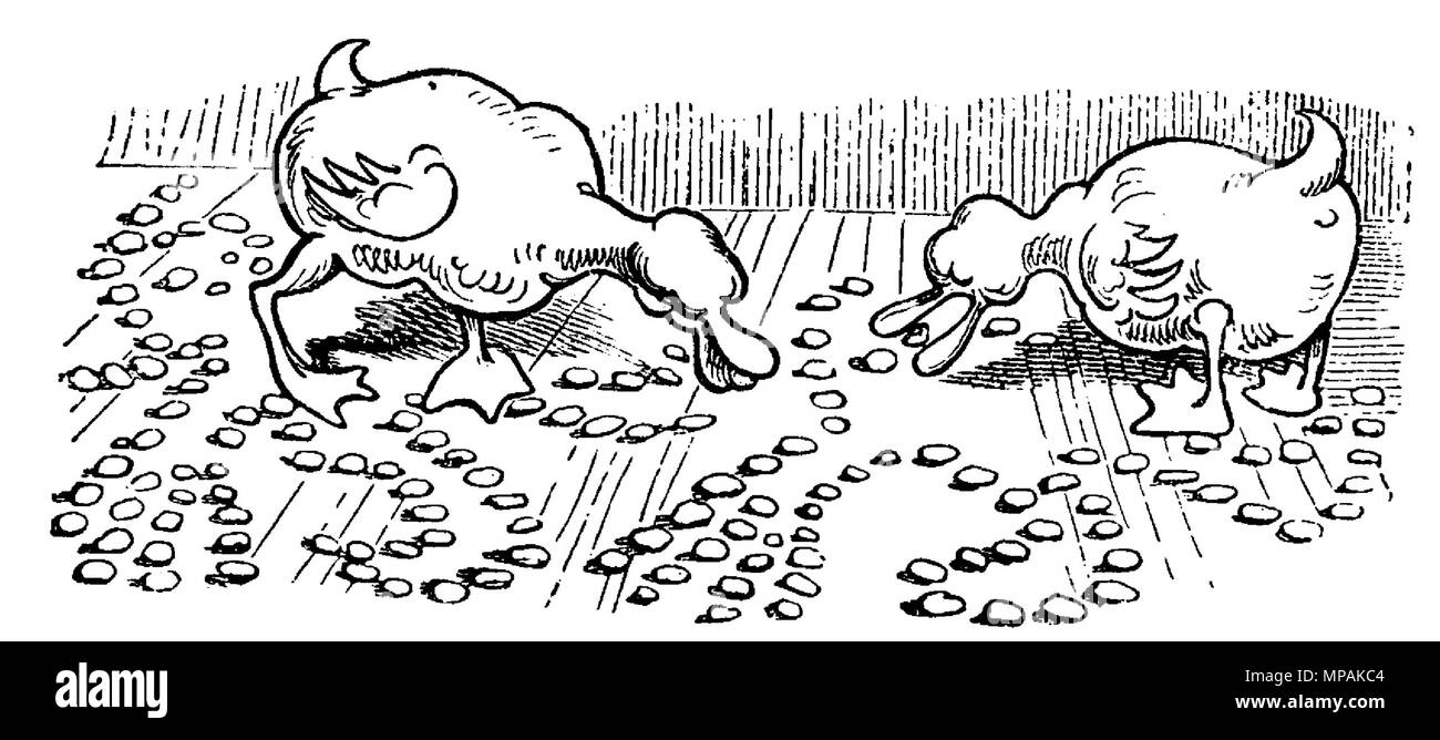 Wilhelm busch max moritz hi-res stock photography and images - Alamy